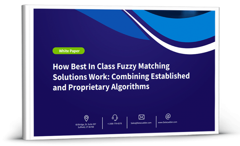 Data Cleaning for Enterprises - A Complete Guide - Data Ladder