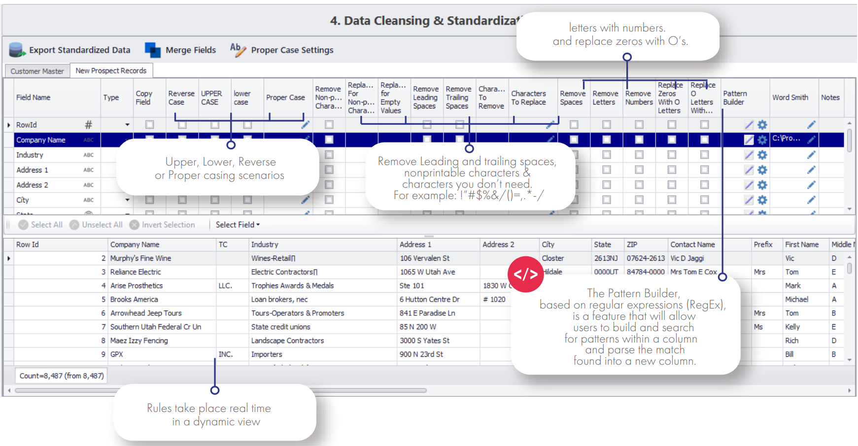 Entity Resolution for a Single Customer View - Data Ladder