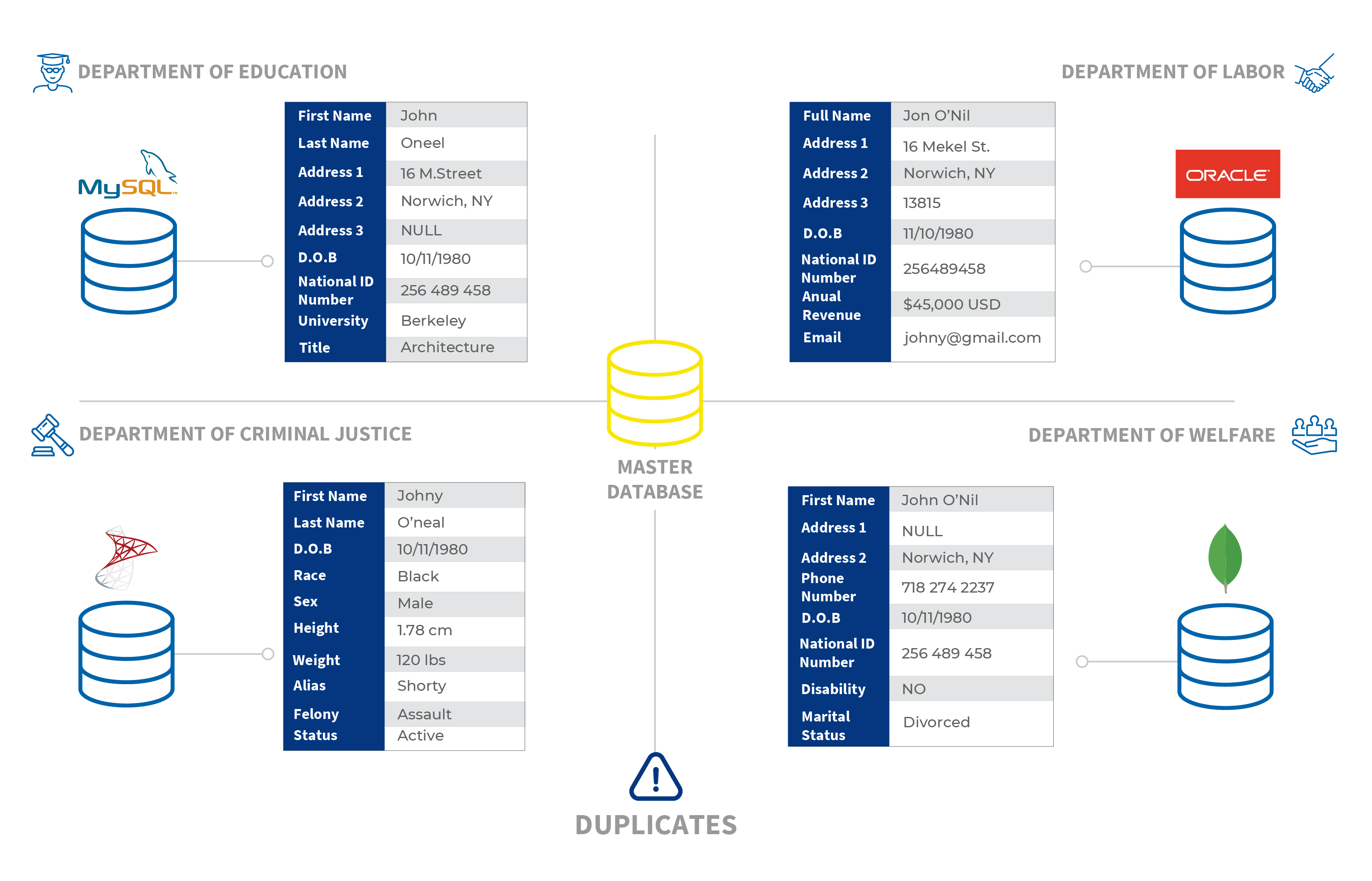 Government / Public Sector | Data Ladder