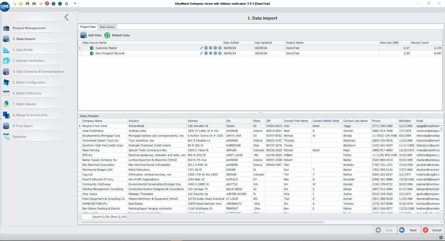 Fuzzy Matching 101: Cleaning and Linking Messy Data - Data Ladder