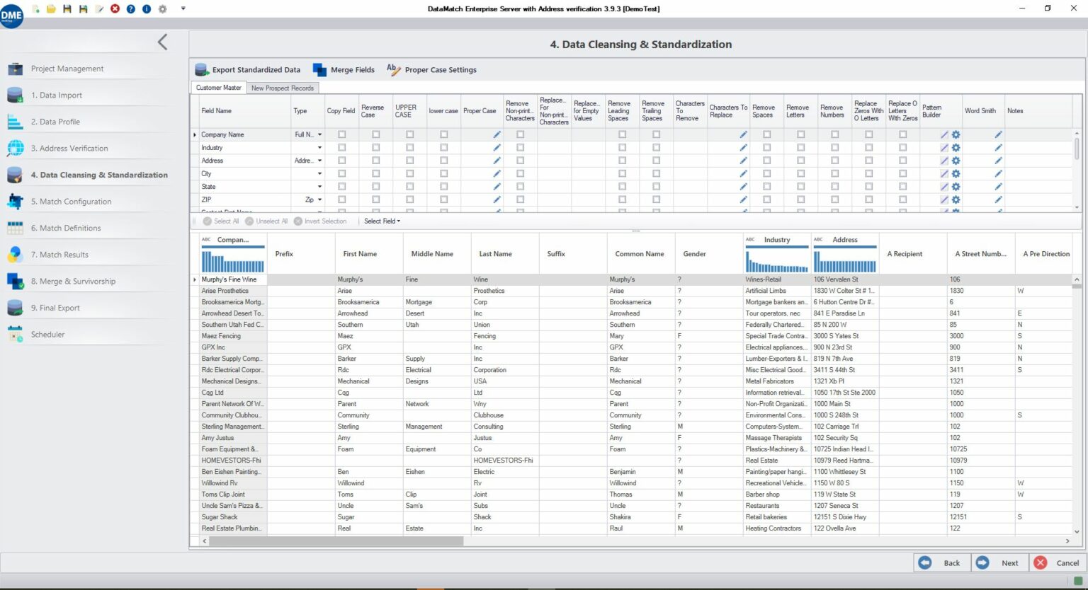 Fuzzy Matching 101: Cleaning and Linking Messy Data - Data Ladder