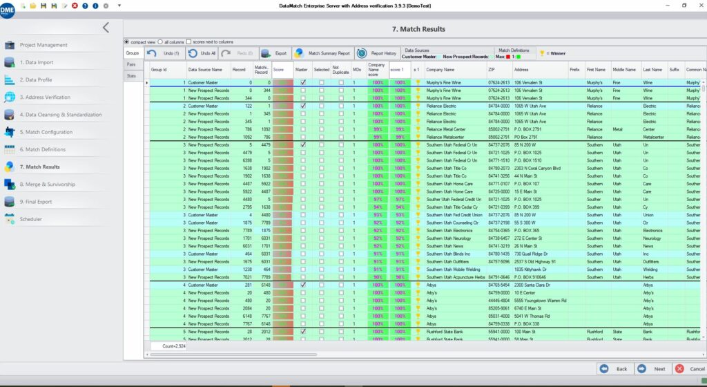 Fuzzy Matching 101: Cleaning and Linking Messy Data - Data Ladder