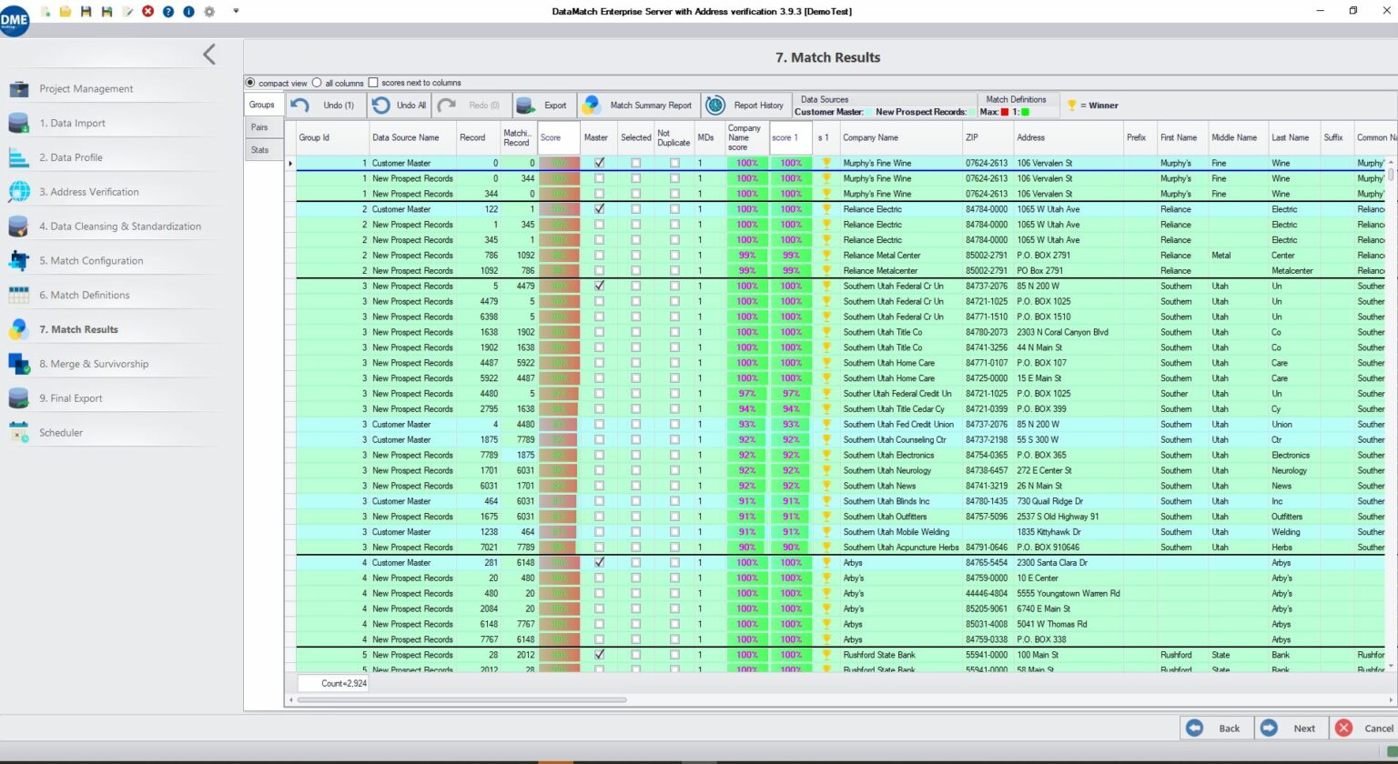 Fuzzy Matching 101: Cleaning and Linking Messy Data - Data Ladder