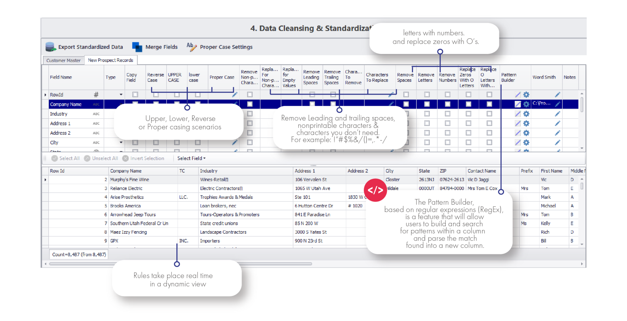 Data Ladder Whitepapers | Creating the golden record with Data Ladder’s ...